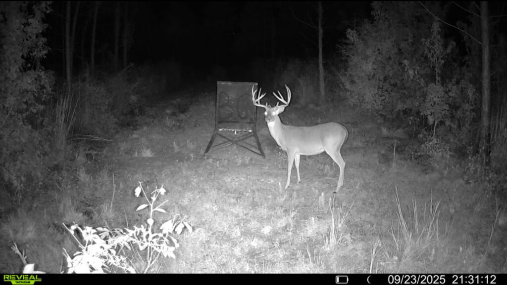 Louisiana Sportsman
