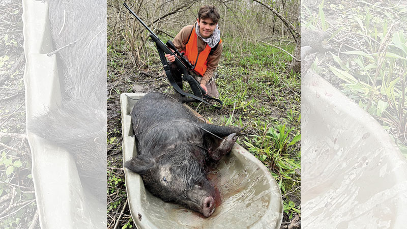 Louisiana Sportsman
