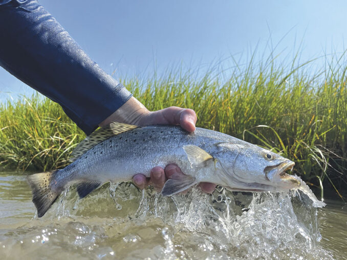 Louisiana Sportsman
