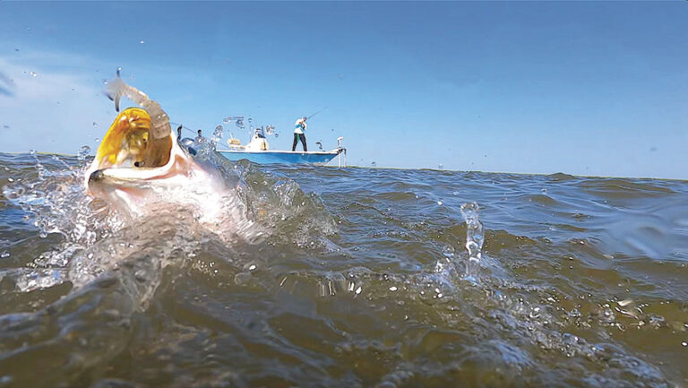 Louisiana Sportsman