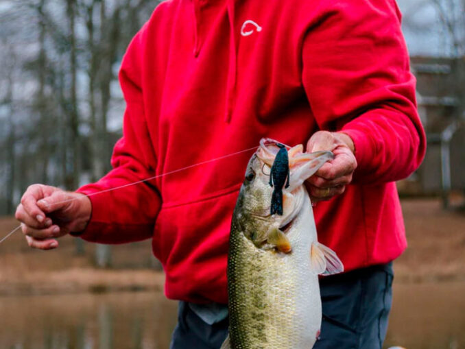 Louisiana Sportsman