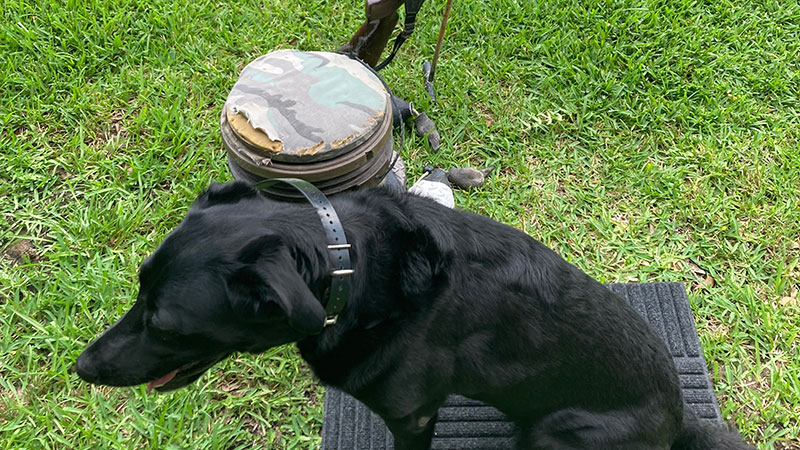 Louisiana Sportsman